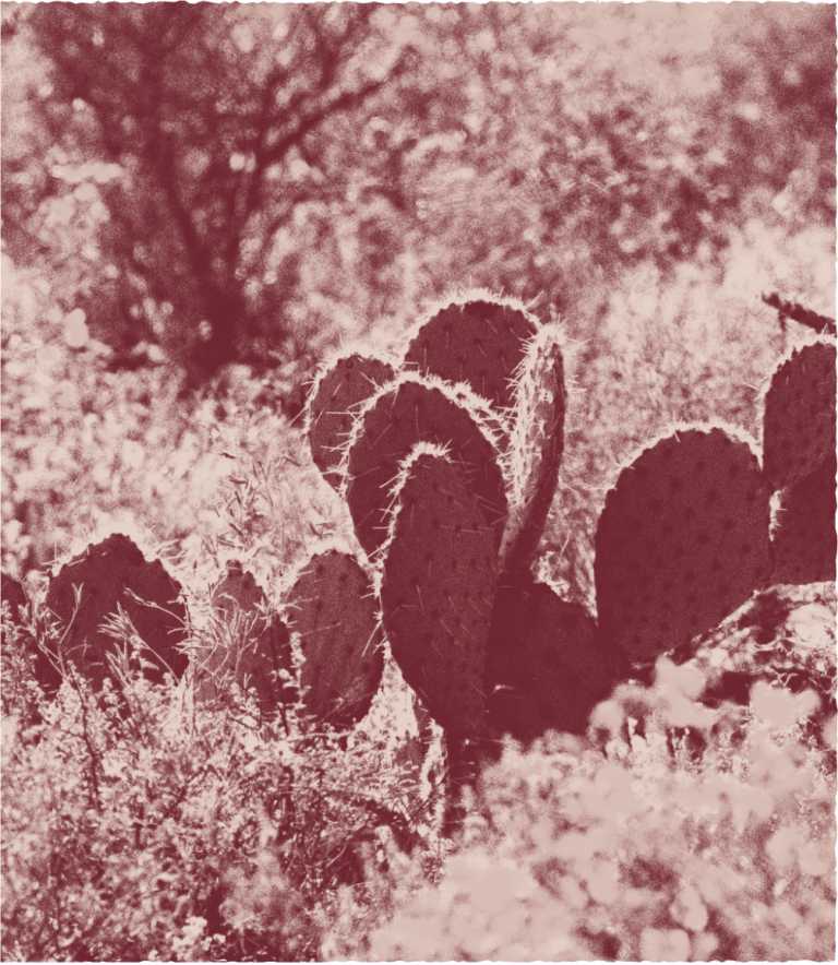 Briggs Ranch Master-Planned Community | San Antonio TX